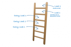 Entry Levels Explained: What you need to know 9000 Lives